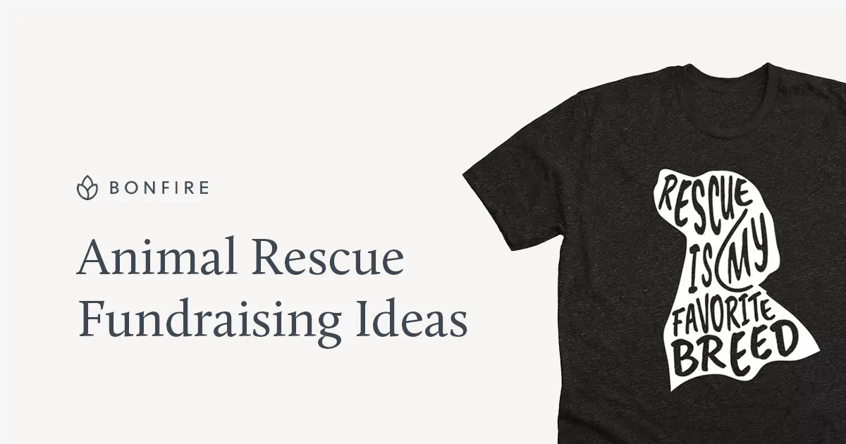 9 Animal Shelter Fundraising Ideas | Bonfire