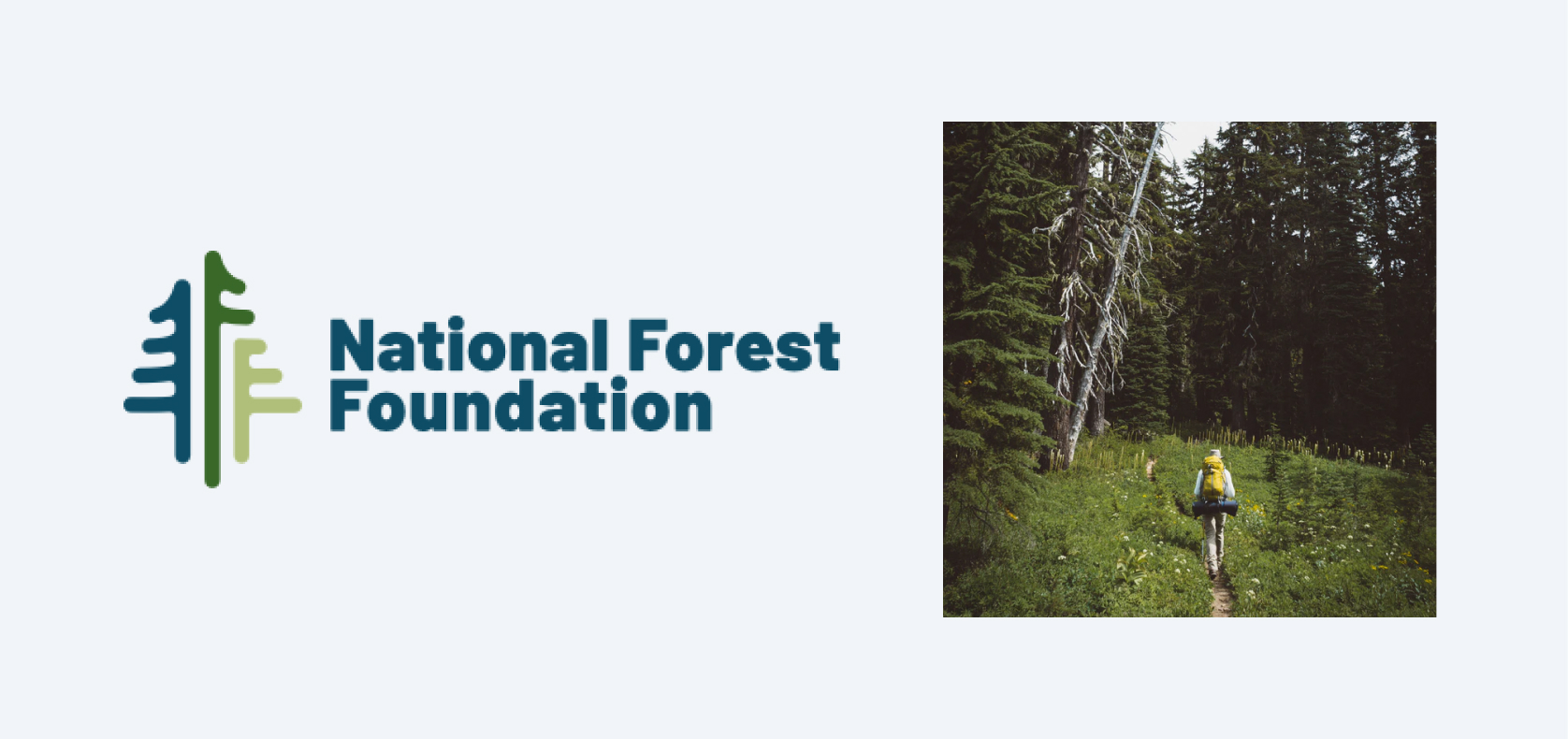 Nonprofit Highlight: National Forest Foundation | Bonfire