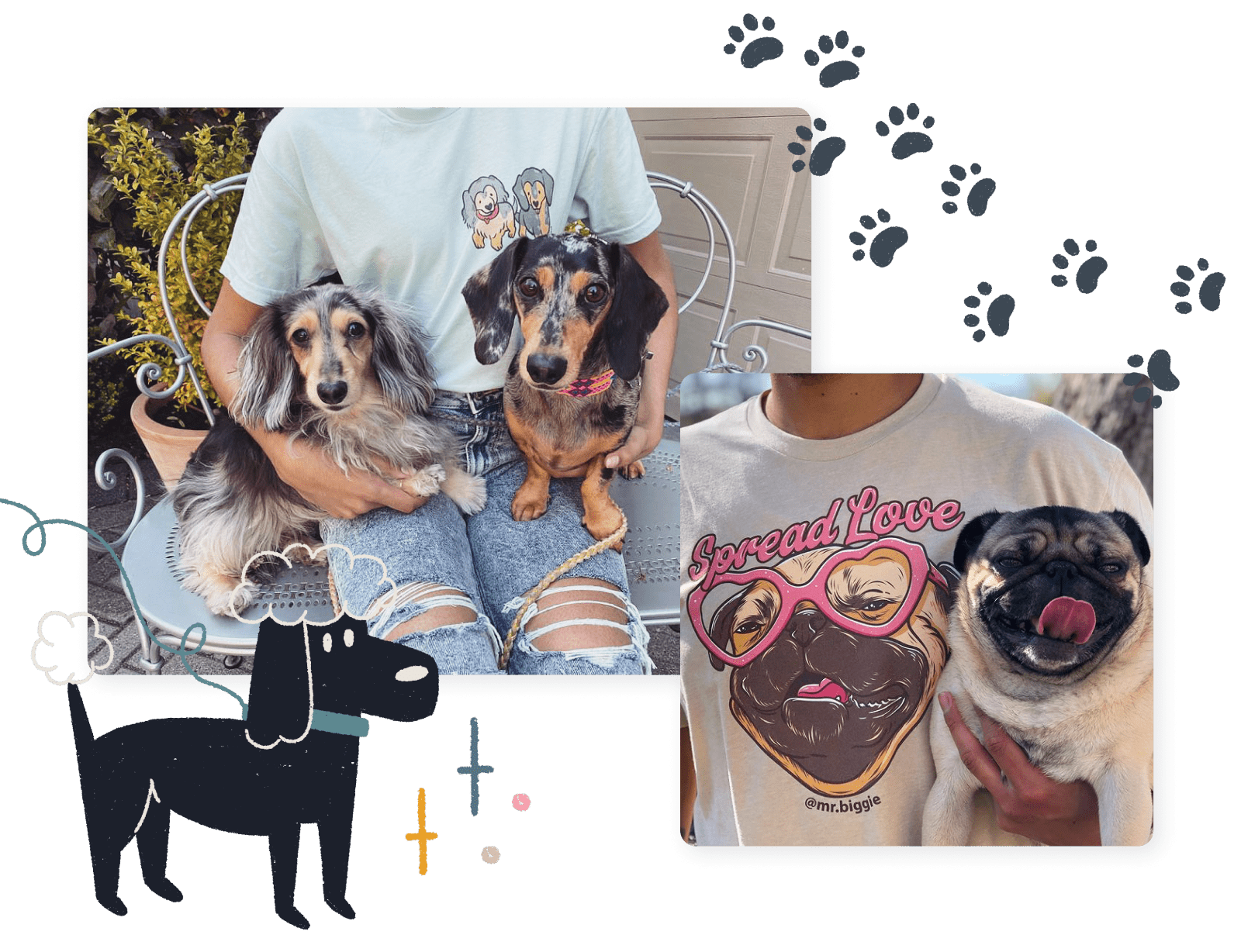 20 Animal Shelter Fundraising Ideas | Bonfire