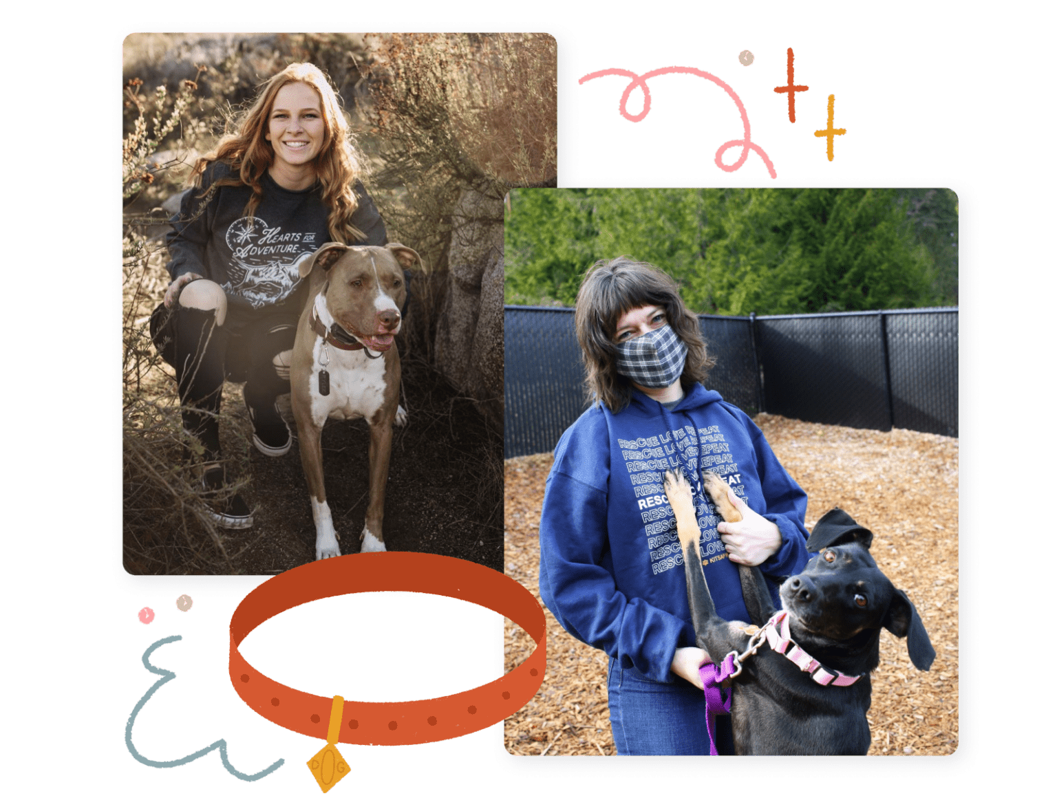 20 Animal Shelter Fundraising Ideas | Bonfire